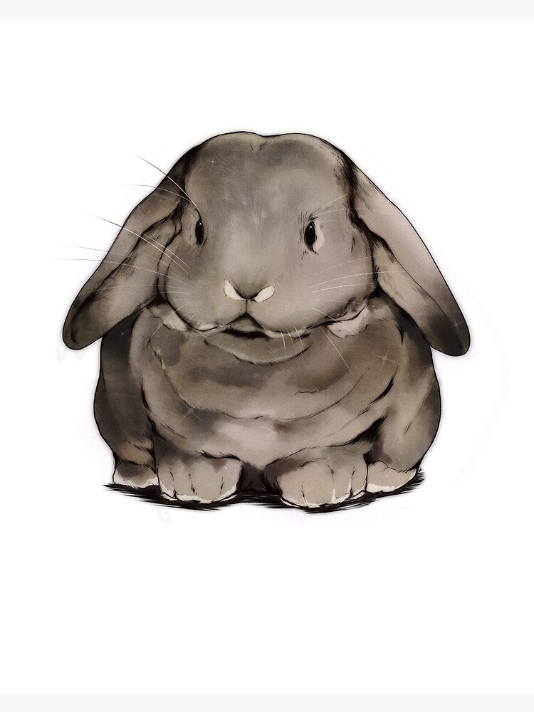 "Mini Lop " Framed Art Print for Sale by brightstag | Redbubble