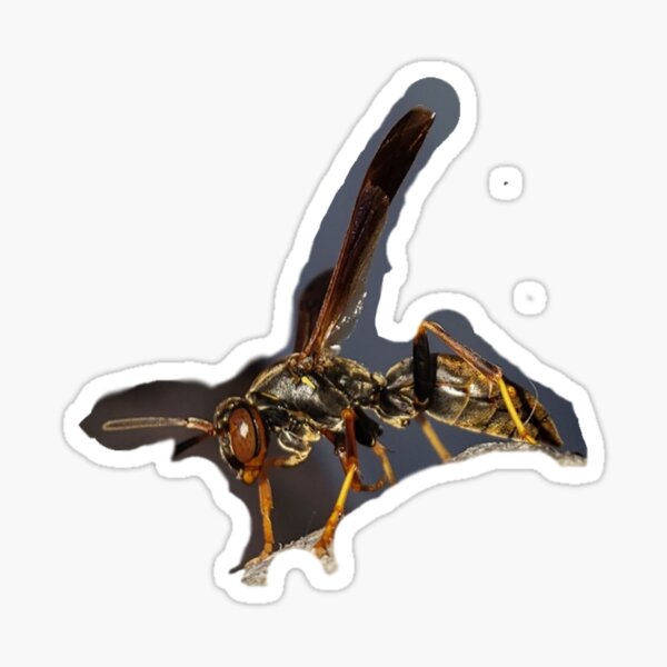 "Wasp" Sticker for Sale by stinewriting | Redbubble