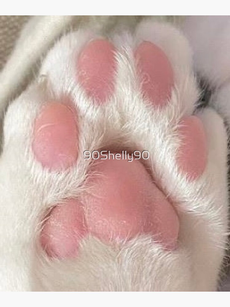 "Pink Toe Beans" Sticker by 90Shelly90 | Redbubble