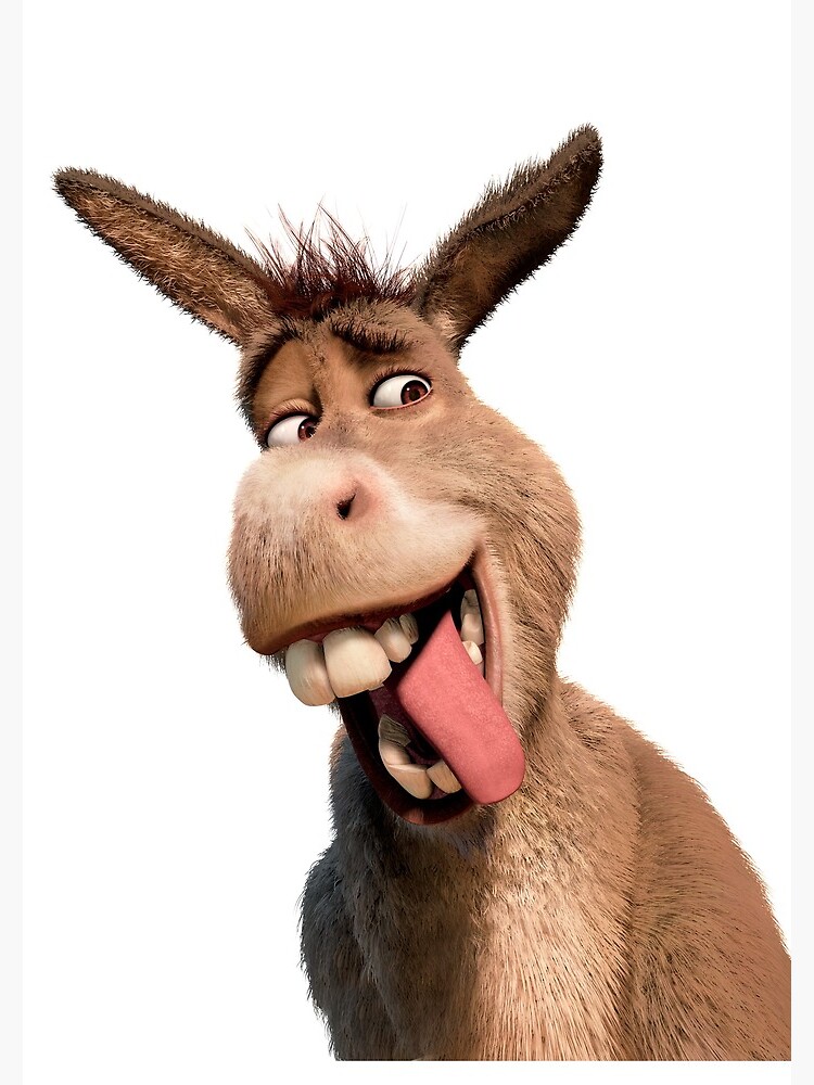 "Donkey Shrek" Journal for Sale by Morphey22 | Redbubble