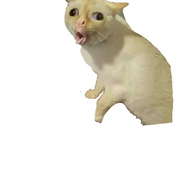 Pegatina for Sale con la obra «tos gato meme» de ogknauf | Redbubble