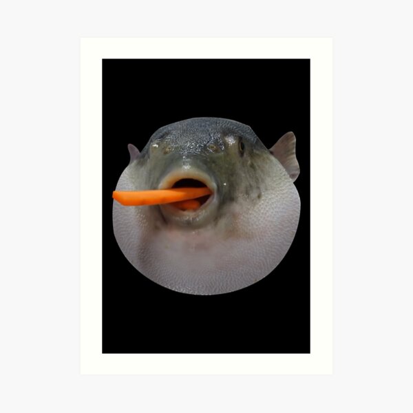 "Puffer fish Meme" Art Print for Sale by artsylab | Redbubble