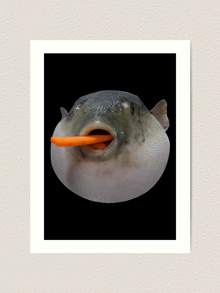"Puffer fish Meme" Art Print for Sale by artsylab | Redbubble