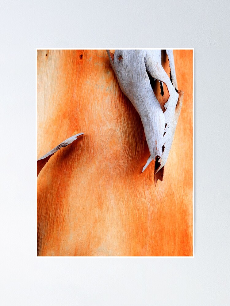 "Tree Bark Series #55" Poster for Sale by Moments-In-Time | Redbubble