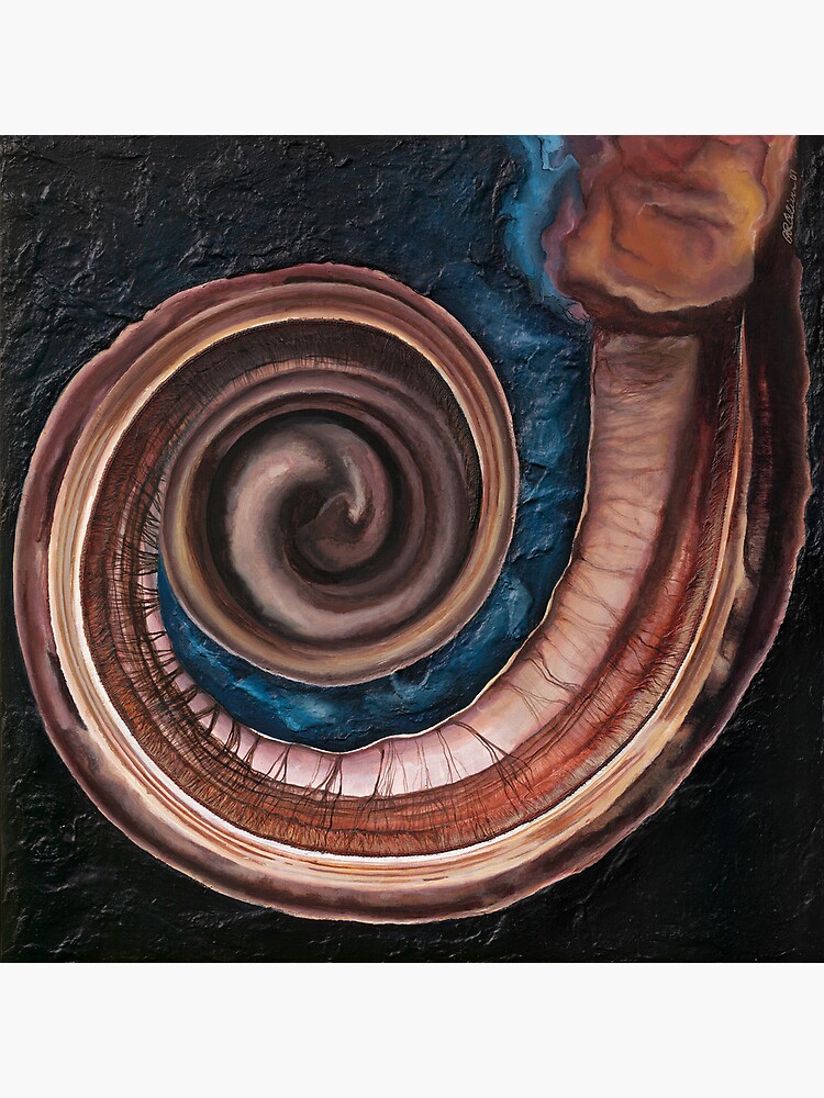 ""Slice" cochlear dissection slice" Photographic Print for Sale by ...