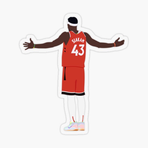 Toronto Raptors Stickers | Redbubble