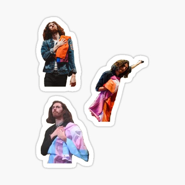 "hozier with pride flags (3)" Sticker for Sale by mvitti | Redbubble