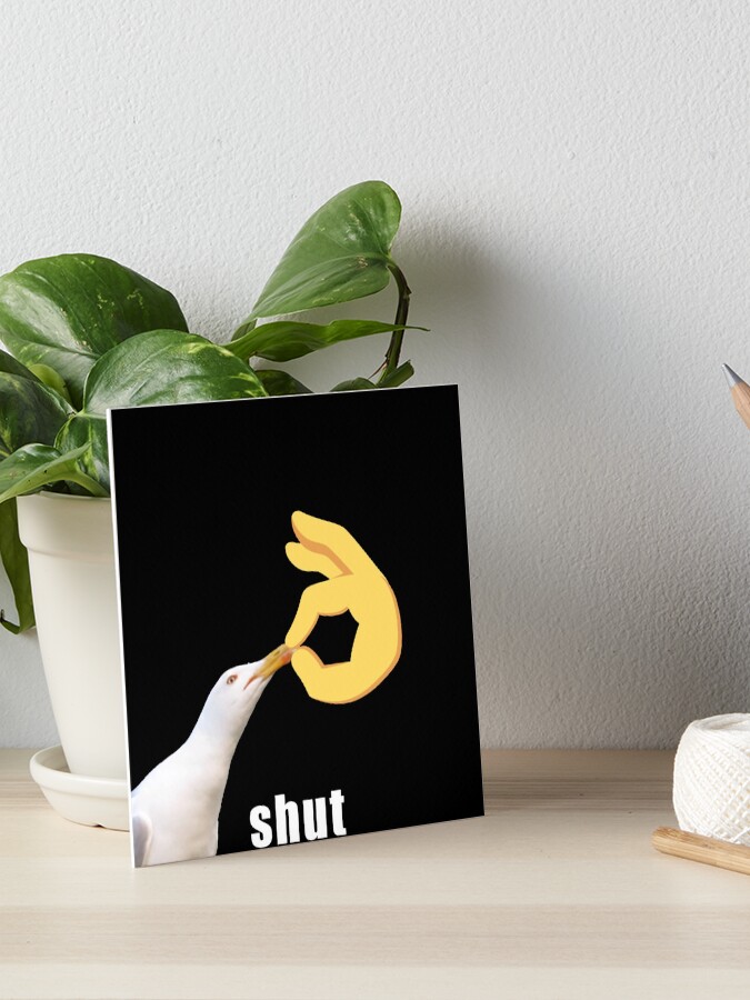 "Shut Seagull meme" Art Board Print for Sale by HangLooseDraft | Redbubble