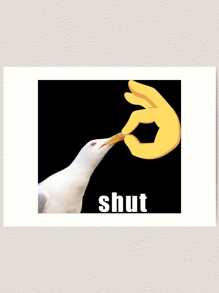 "Shut Seagull meme" Art Print by HangLooseDraft | Redbubble