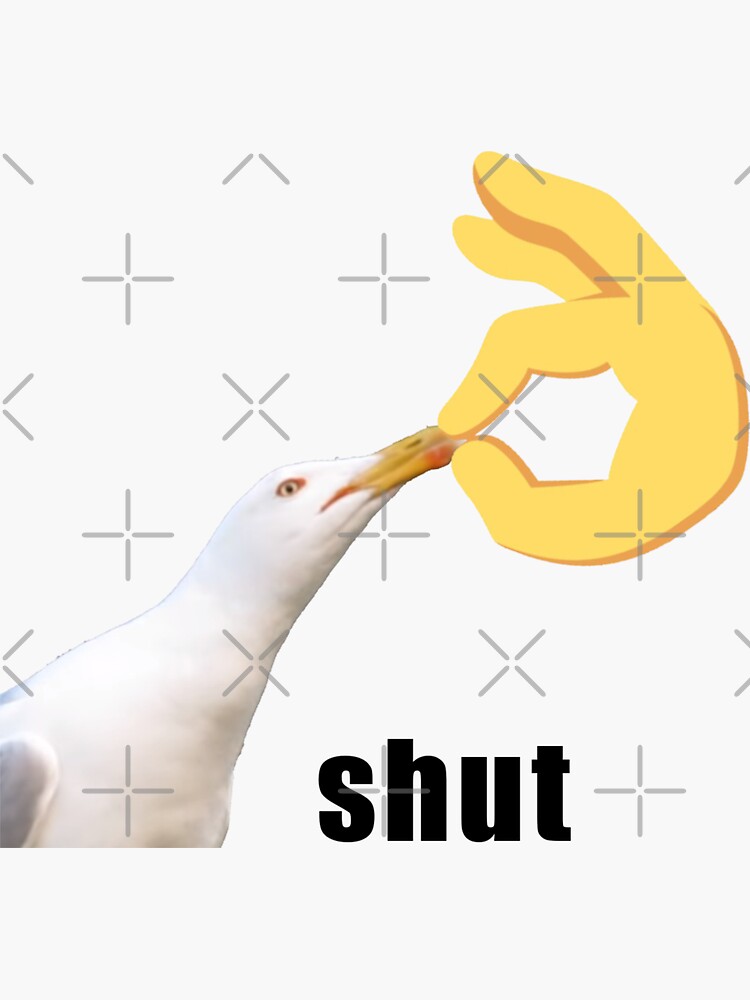  Shut Seagull Meme Sticker For Sale By HangLooseDraft Redbubble