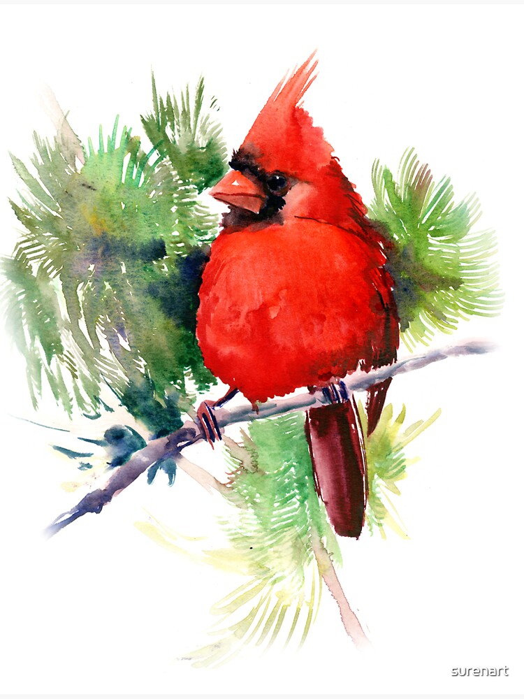 "Red Cardinal Bird" Sticker for Sale by surenart | Redbubble