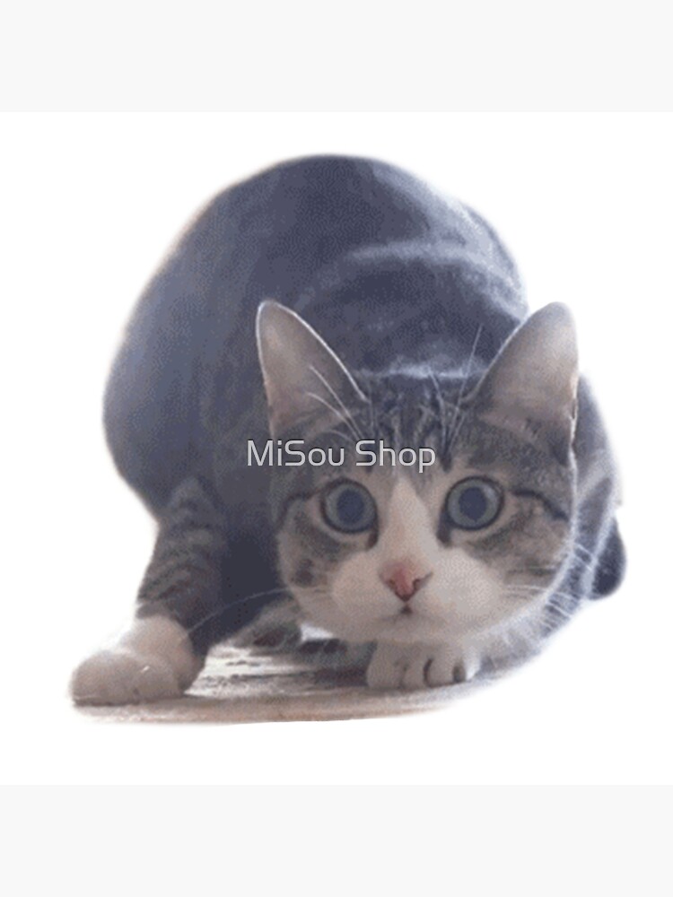 "Wiggle cat Shaq cat dancing funny meme" Art Print by misoukill | Redbubble