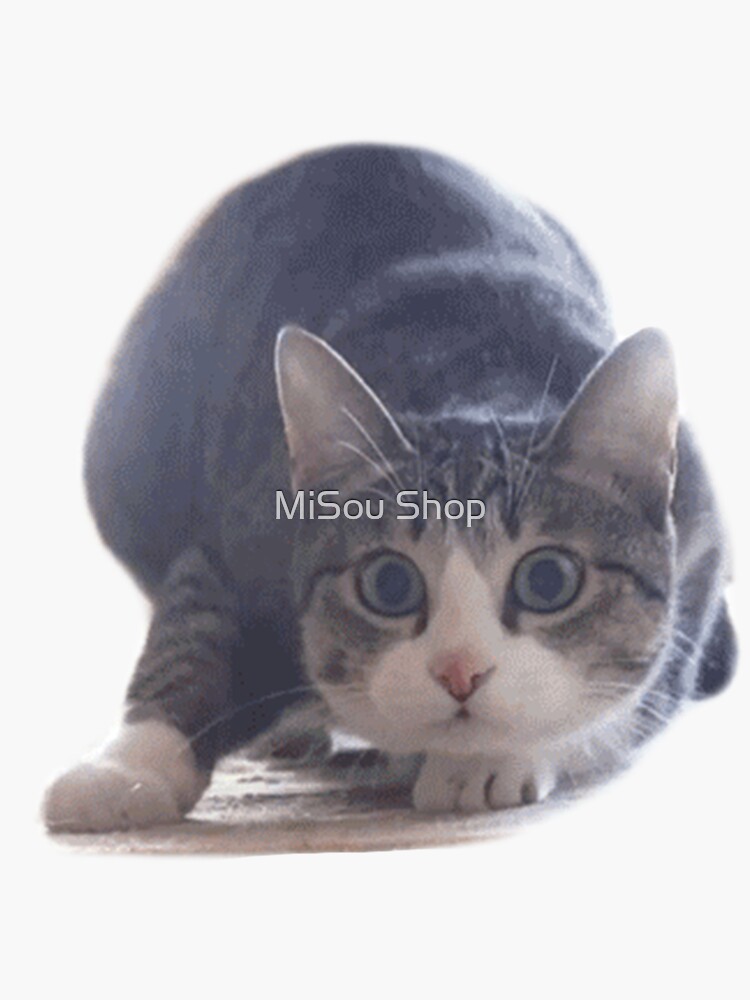 "Wiggle cat Shaq cat dancing funny meme" Sticker by misoukill | Redbubble