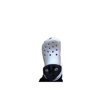 "cat croc meme" Sticker for Sale by maeveh7 | Redbubble