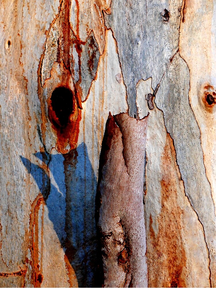 "Tree Bark Series #63" Poster by Moments-In-Time | Redbubble
