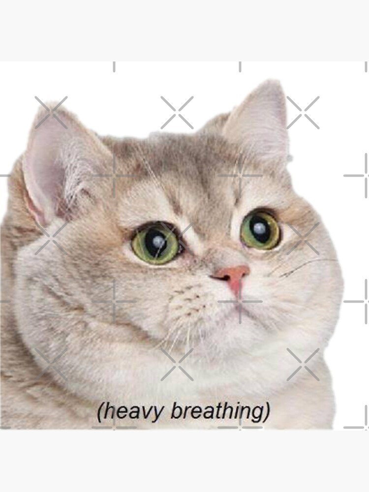 "Heavy breathing cat Meme" Photographic Print for Sale by Luckeye ...