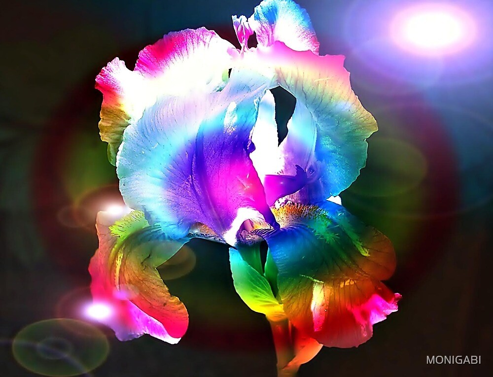 "Fantasy rainbow iris" by MONIGABI | Redbubble