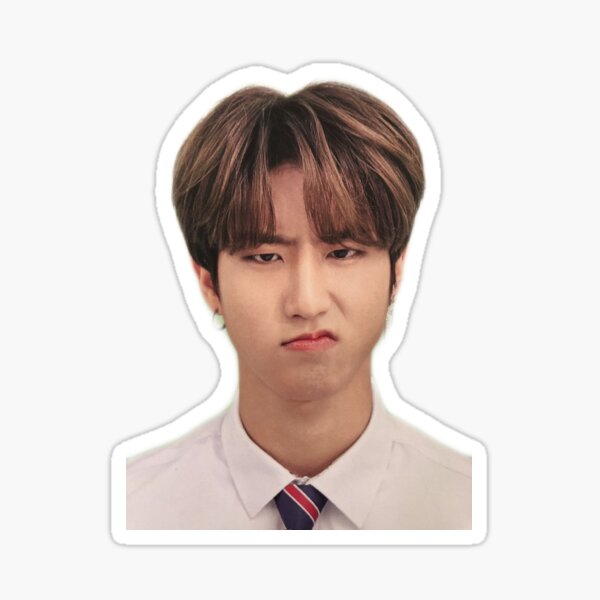"han jisung" Sticker for Sale by ykmsmn | Redbubble