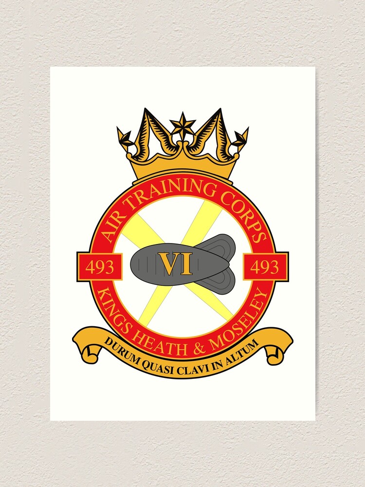 "493 Squadron Air Cadets Logo" Art Print for Sale by snco493 | Redbubble