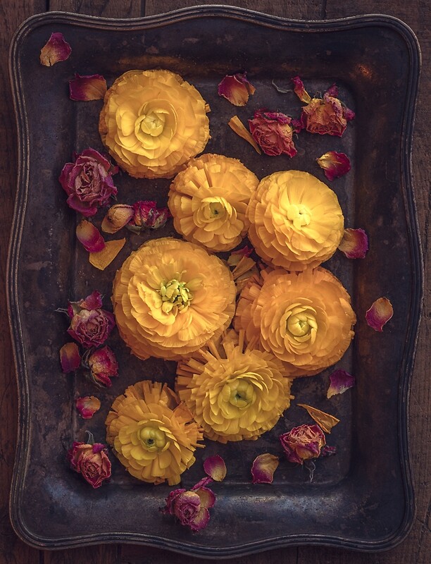 "roses and ranunculus" by alan shapiro | Redbubble