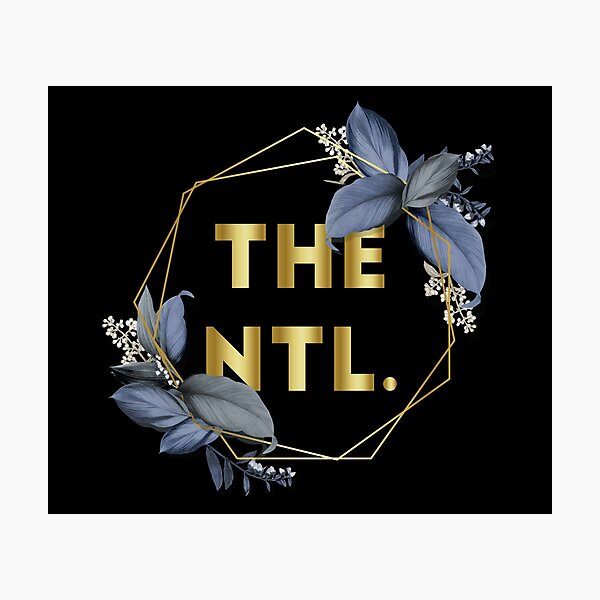 "The National Band Logo" Photographic Print by TheN | Redbubble