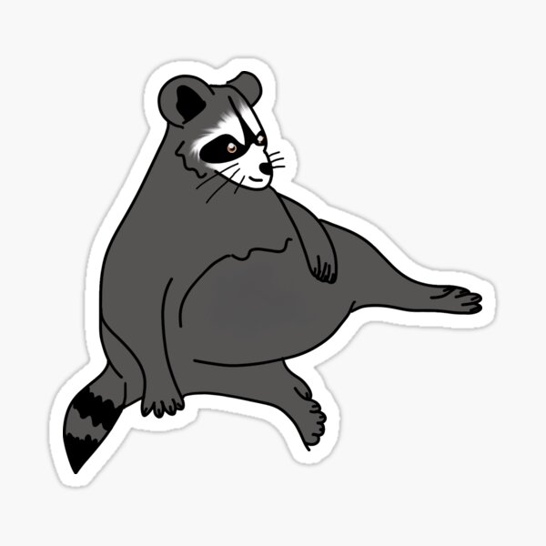 Fat Raccoon Stickers | Redbubble