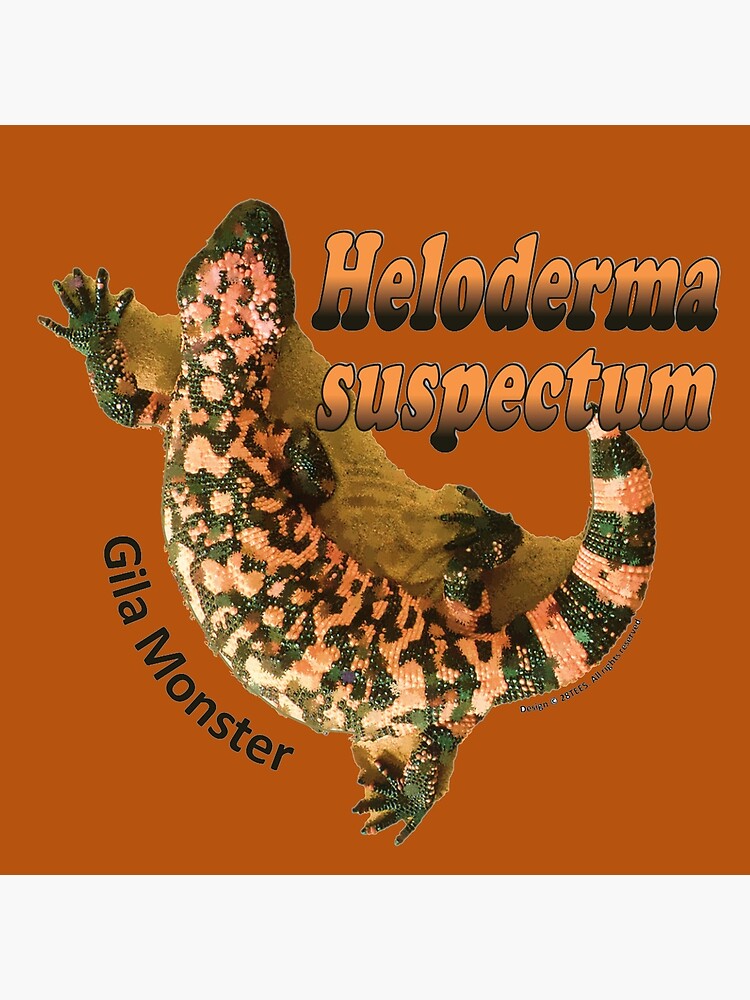 "Gila Monster - Heloderma suspectum Giftige Eidechse" Poster von 28TEES ...