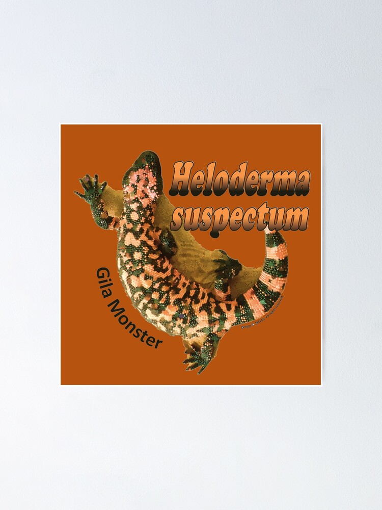 "Gila Monster - Heloderma suspectum Giftige Eidechse" Poster von 28TEES ...