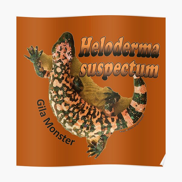 "Gila Monster - Heloderma suspectum Giftige Eidechse" Poster von 28TEES ...