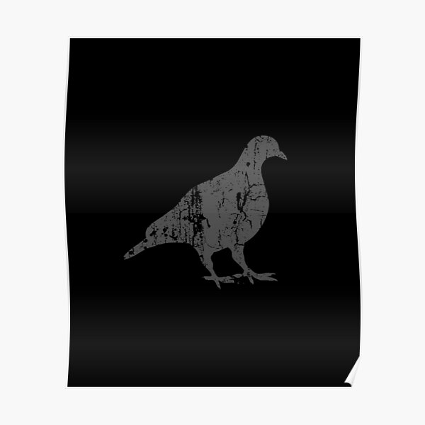 Pigeon Posters | Redbubble