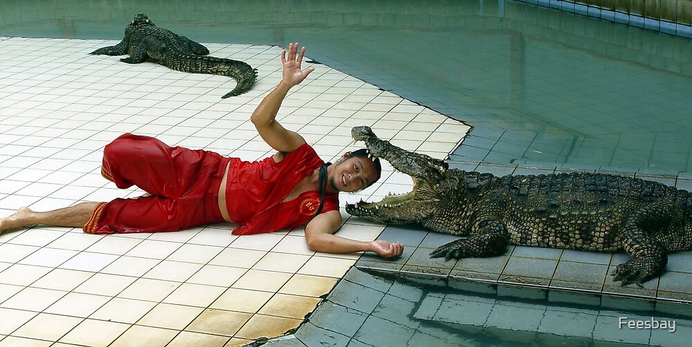 "Crocodile Vs Man" by Feesbay | Redbubble