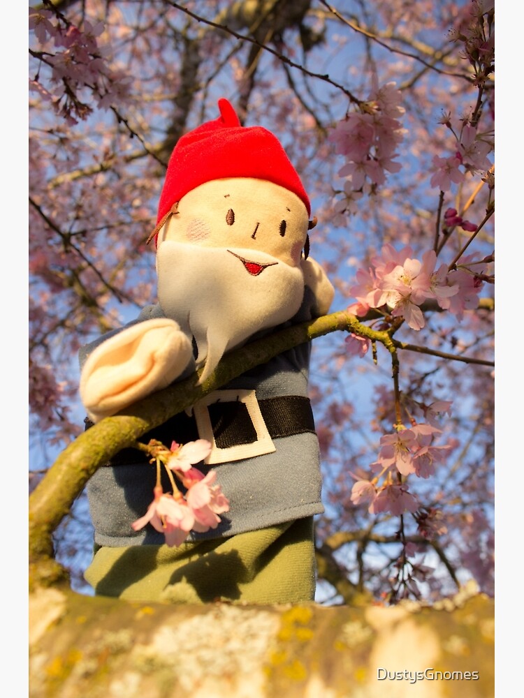 "Tree Climber Gus" Poster for Sale by DustysGnomes | Redbubble