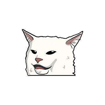 "Woman yelling at cat Meme Face Sticker" Sticker for Sale by cdmike ...