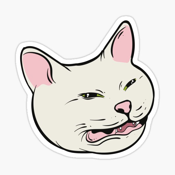 "Kot Cat Confused Laughing Cat Meme" Sticker by HappyMonkeyTees | Redbubble