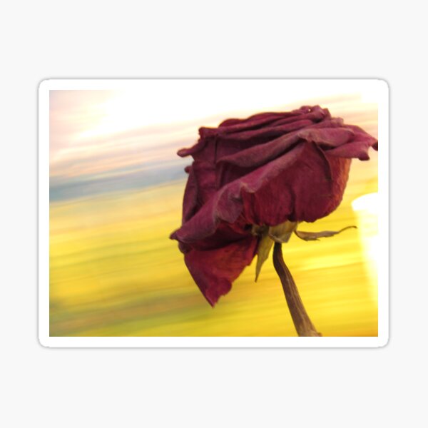 "Blurry" Sticker for Sale by Calenna99 | Redbubble