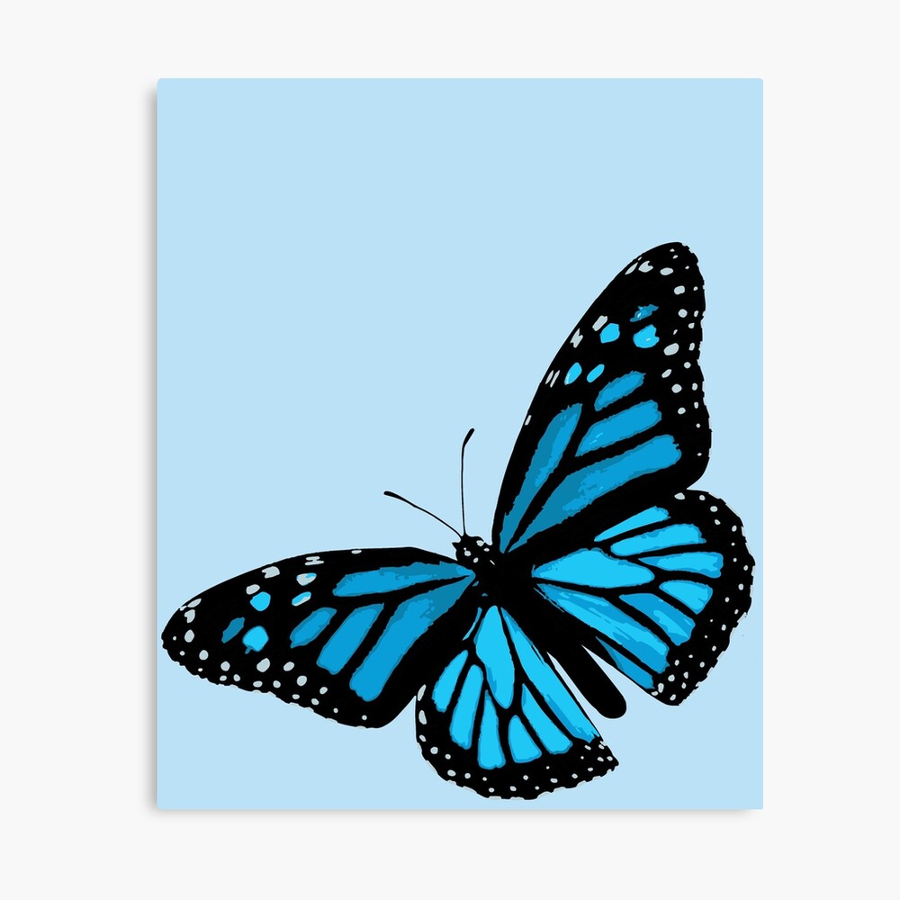 Blue Monarch Butterfly Blue Monarch