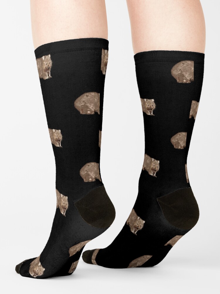 "Wombat (Vombatus ursinus)" Socks for Sale by ChrissyWild | Redbubble