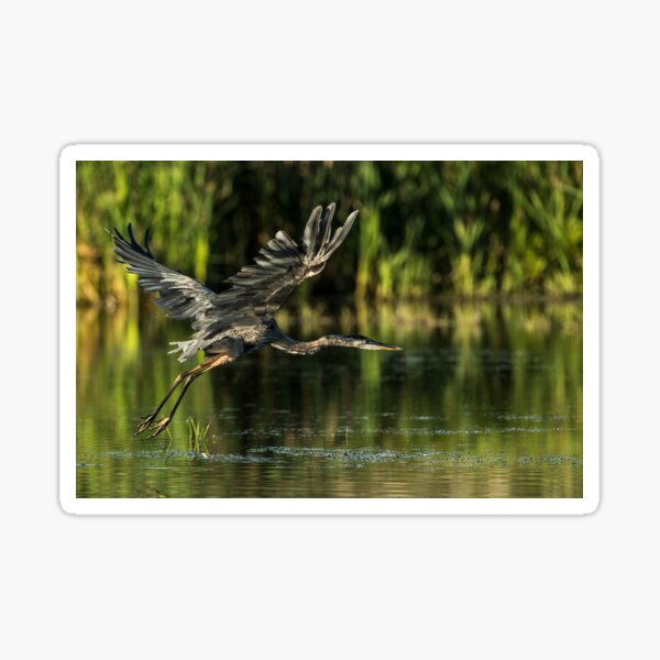 "Take Off" Sticker for Sale by jaydee1400 | Redbubble