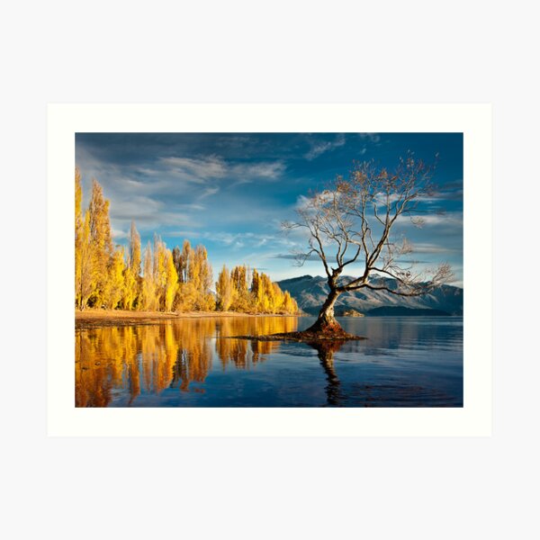 "Wanaka Tree" Art Print for Sale by Robert Dettman | Redbubble