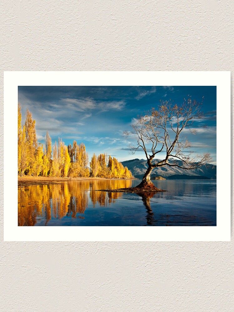 "Wanaka Tree" Art Print for Sale by Robert Dettman | Redbubble