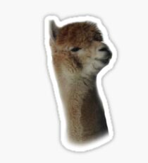 Llama: Stickers | Redbubble