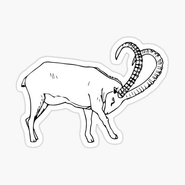 Ibex Gifts & Merchandise | Redbubble
