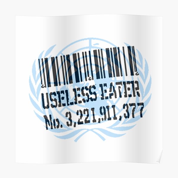 Poster: United Nations | Redbubble