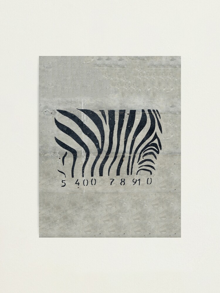 "Zebra graffiti in concrete wall photo" Photographic Print by hypnotzd ...