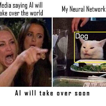 "Funny AI Woman yelling at a cat meme design | Machine learning" Art ...
