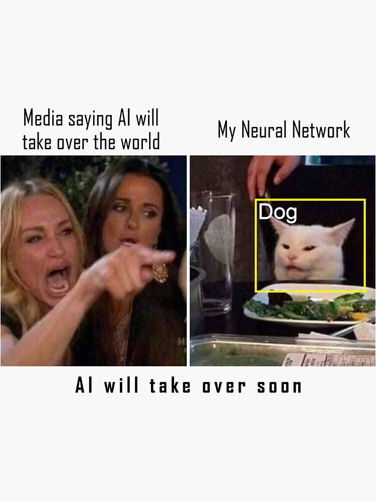 "Funny AI Woman yelling at a cat meme design | Machine learning ...