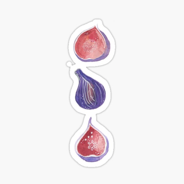 "Watercolor Figs" Sticker for Sale by TeaFoxArt | Redbubble