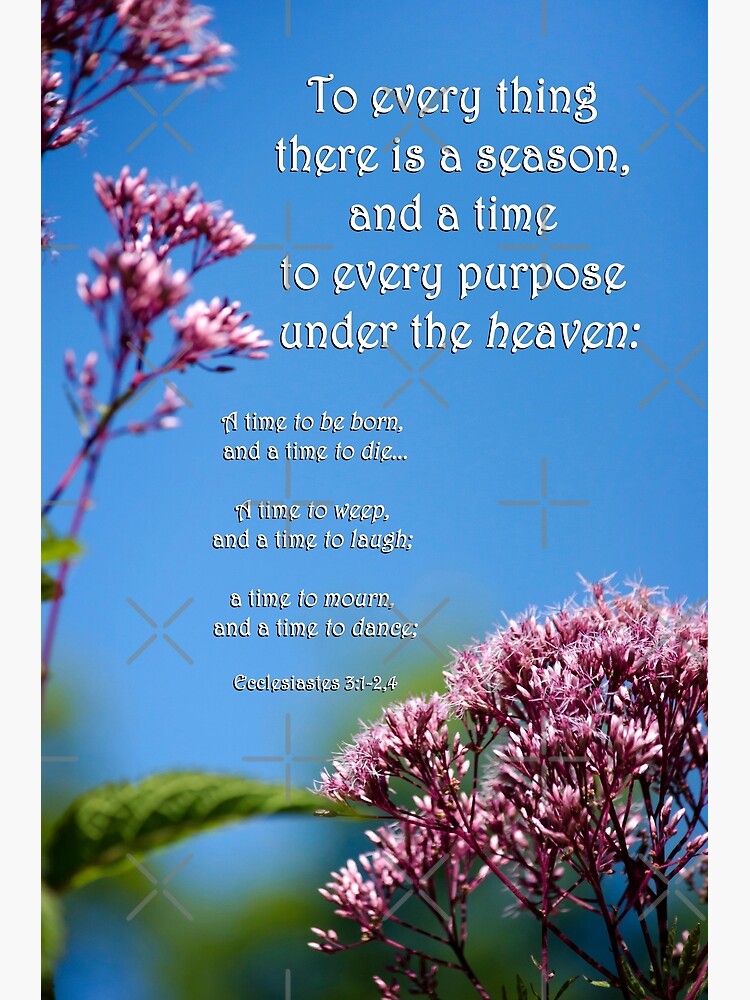 "Prediger 3: 1" Poster von rollosphotos | Redbubble