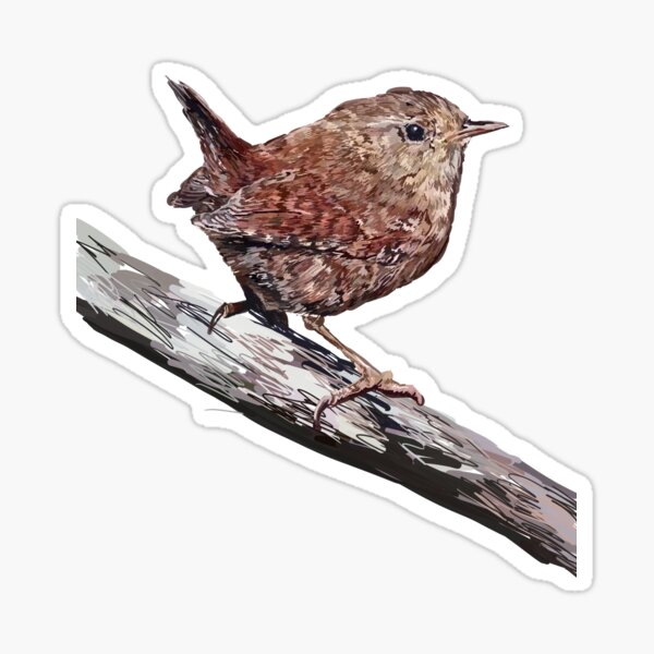 "Wren" Sticker for Sale by bunchofroses | Redbubble