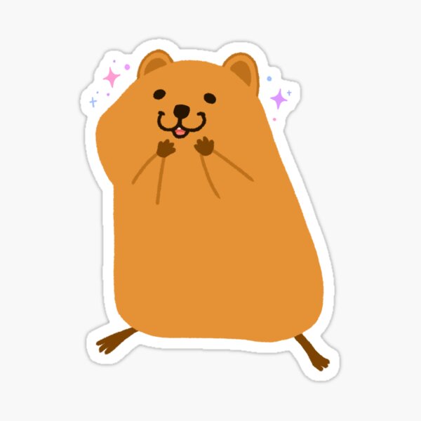 "Cute Happy Quokka with sparkles" Sticker by KTJoh | Redbubble